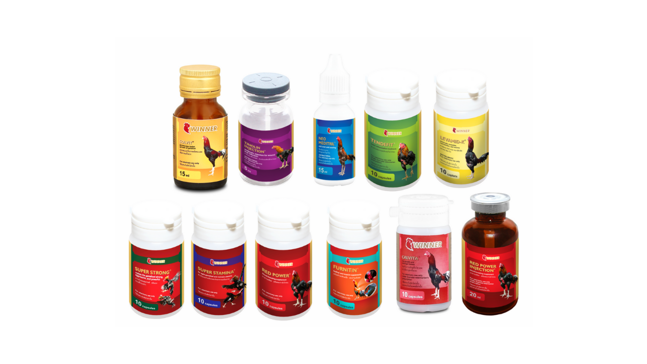 Winner - Medion Farma